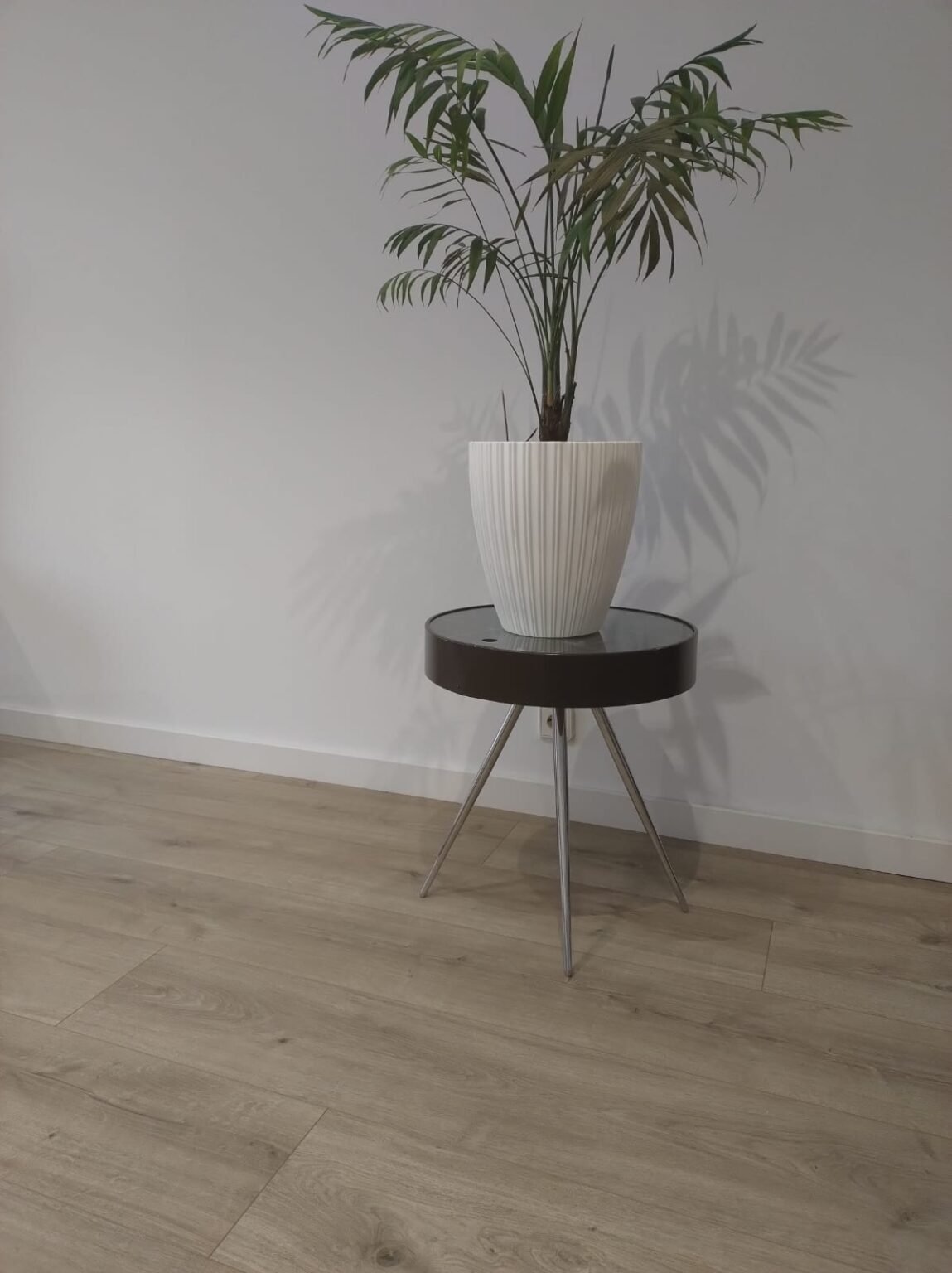 El Mejor Precio por poner suelo laminado Obramat - LamiFácil